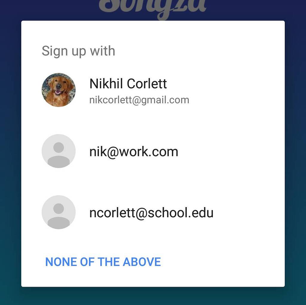 How to log into the webview via Google or Facebook, for example, by ...