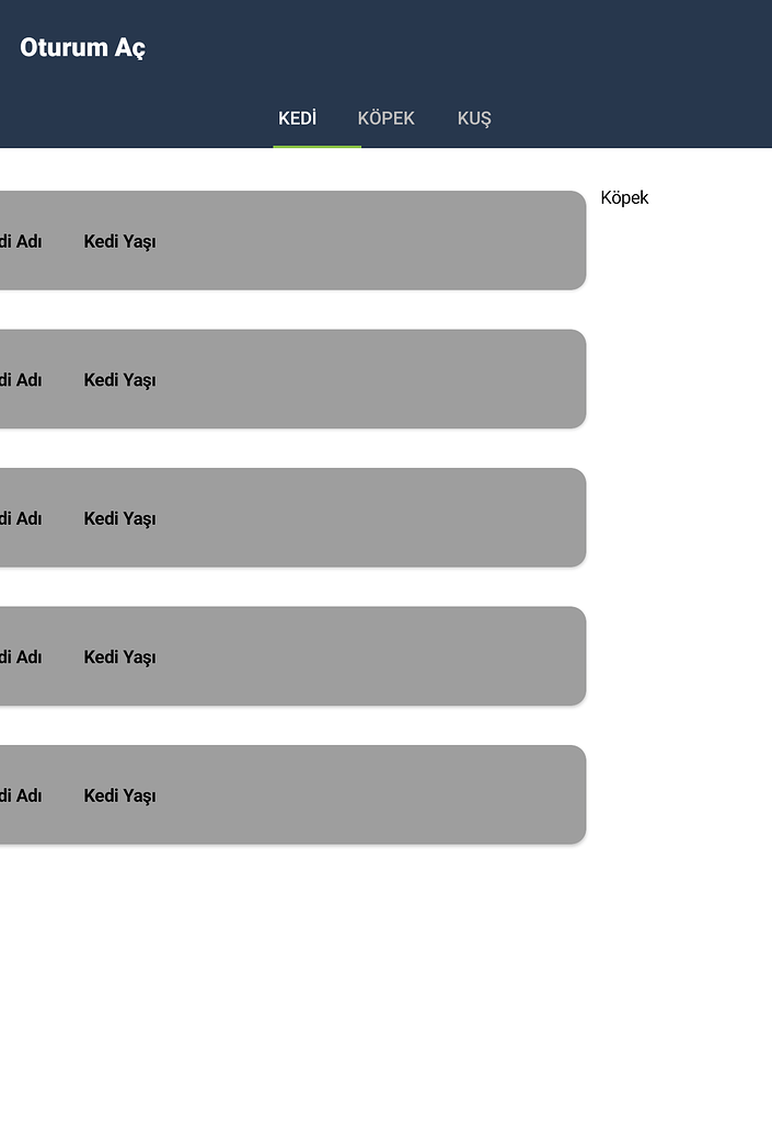 View pager app crash error (Solved) - Discuss - Kodular Community