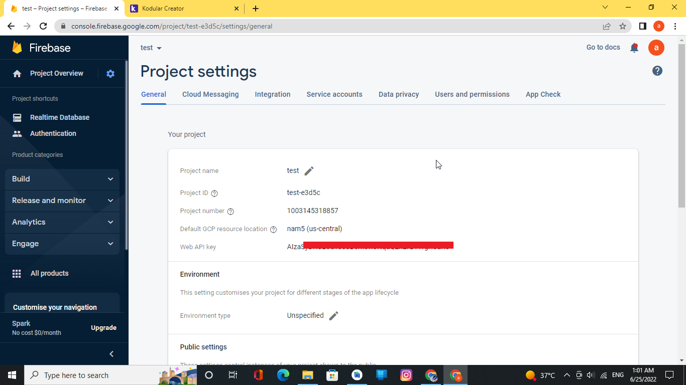 Error from companion: for a custom firebase host you must first set your authentication server ...